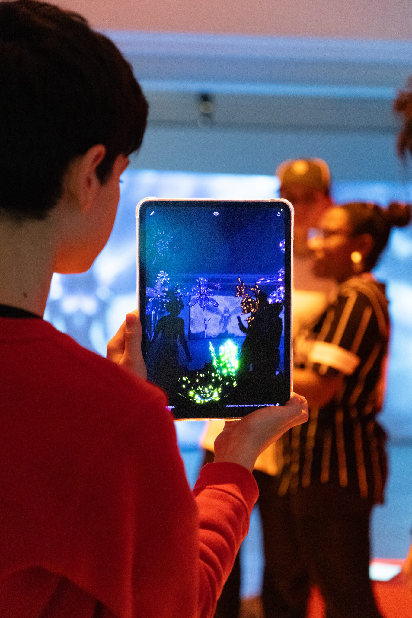 Tin&Ed – DEEP FIELD – Estados Unidos | FILE FESTIVAL